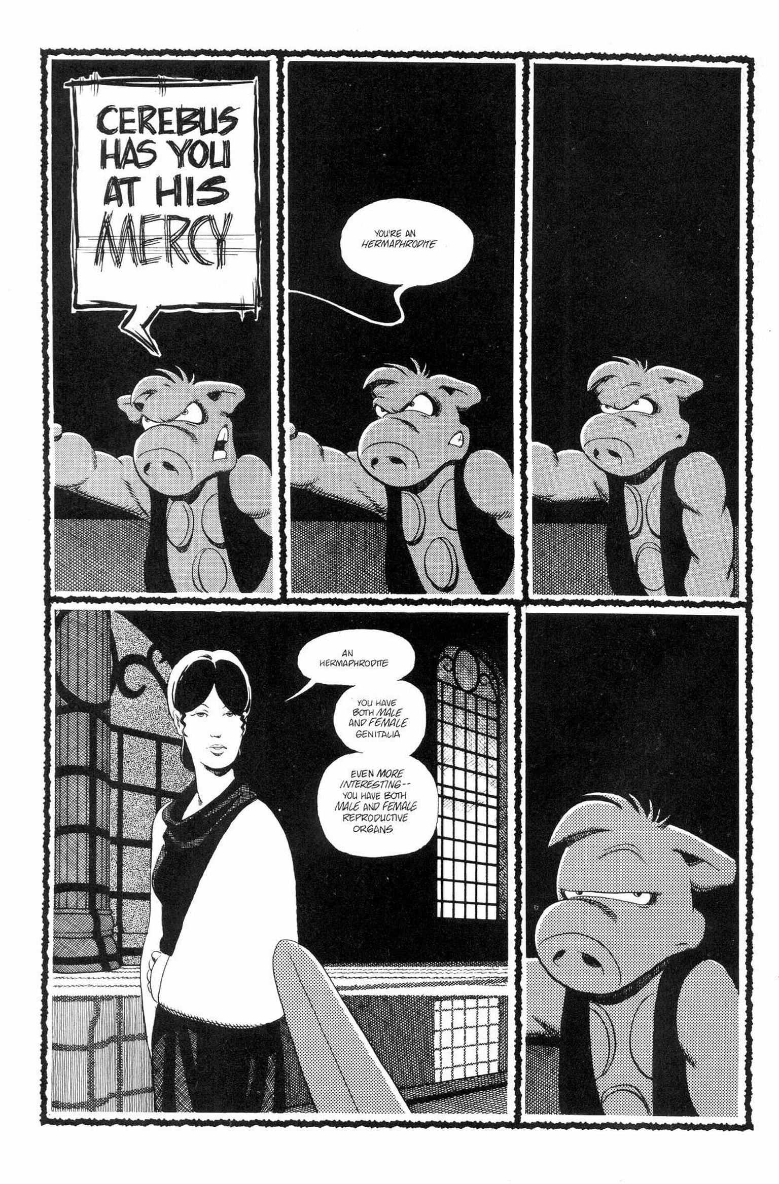 JAKA’S STORY: What It Was in 1988, and What Cerebus Used to Mean