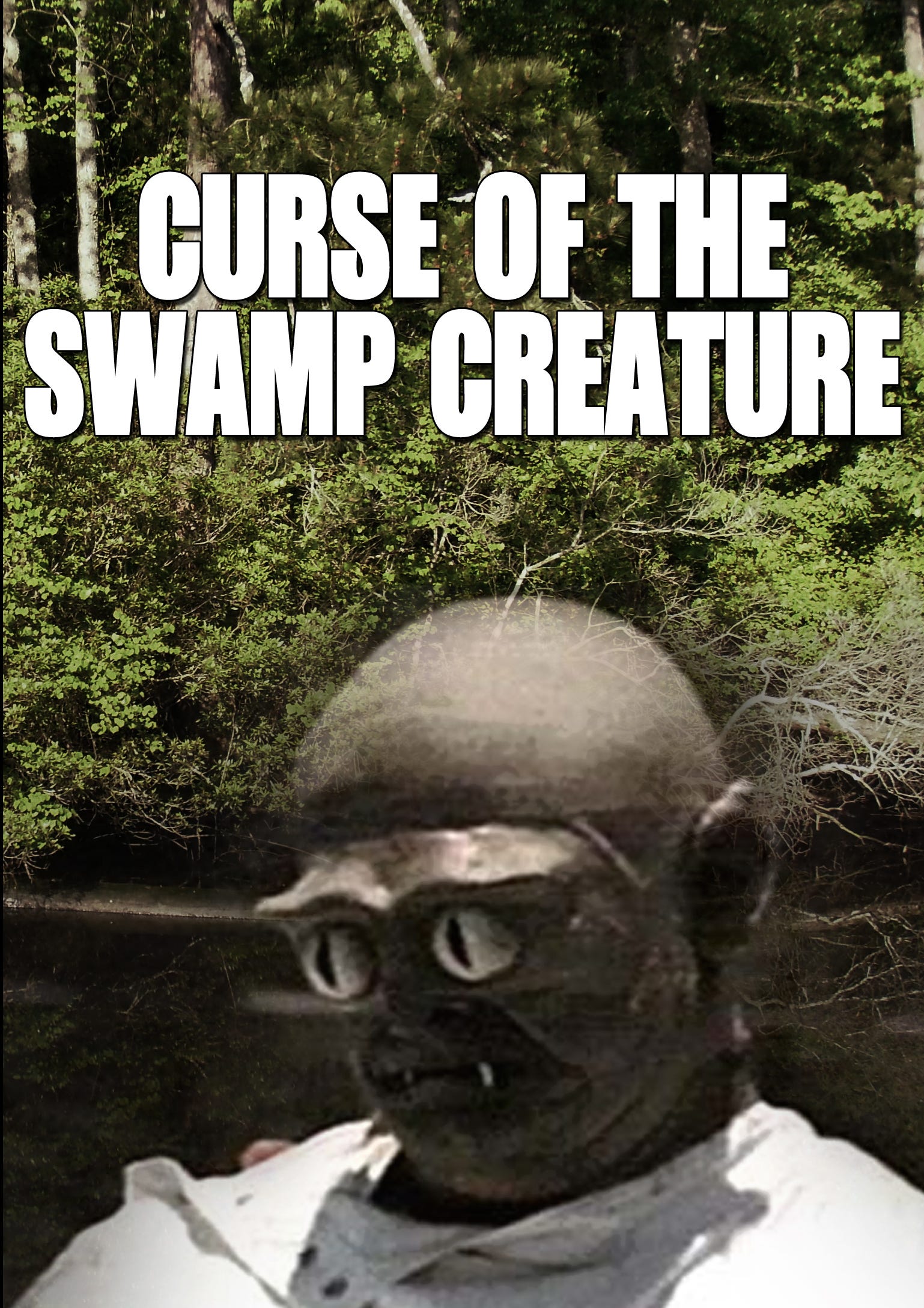 Curse of the Swamp Creature. A mad scientist decides to turn… | by ...