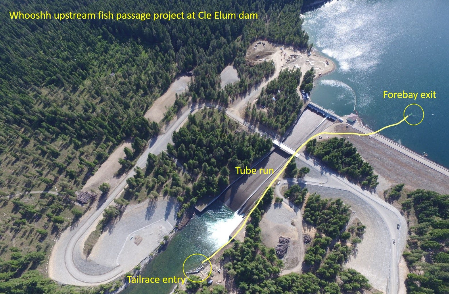 Whooshh Creates Safe and Affordable Fish Passage System — Good for Fish ...