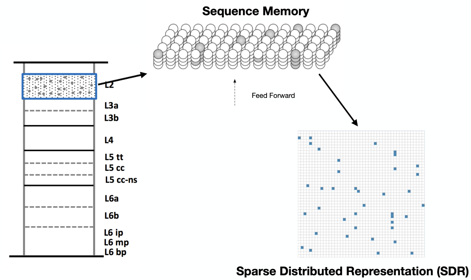 Towards Deeper Learning: Hierarchical Temporal Memory | by Mark Cleverley | The Startup | Jun ...
