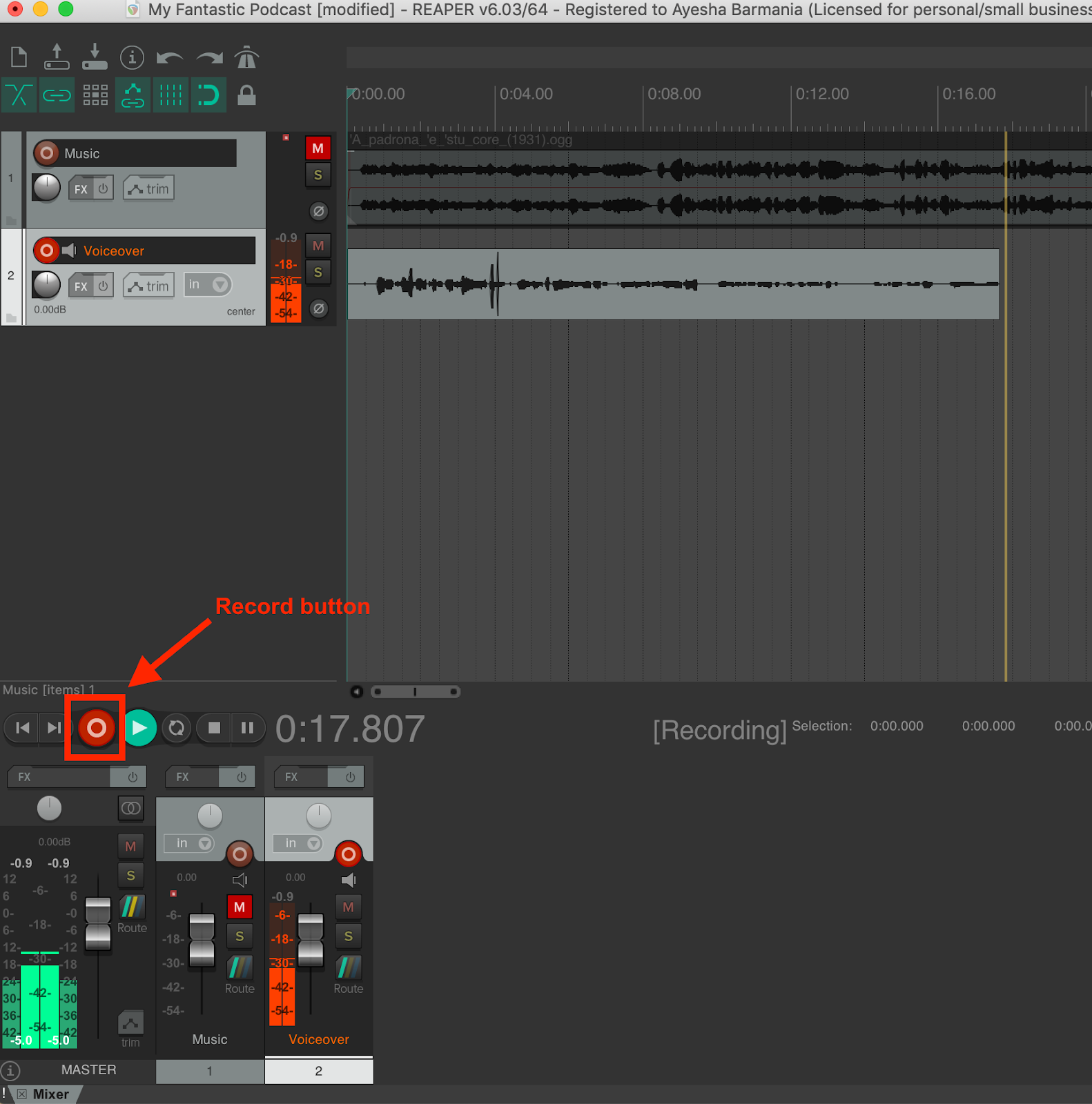 Getting Started With Audio Editing in Reaper - Bello Collective