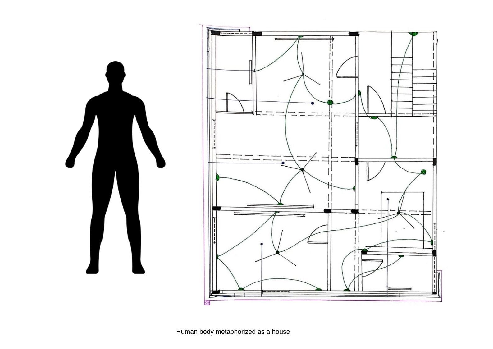Human Body A Model To Understand Systems By Bharat Perla Systems human-body-a-model-to-understand-systems-by-bharat-perla-systems