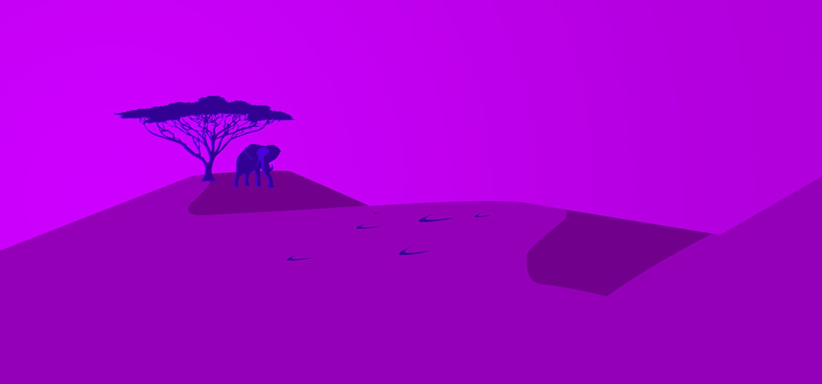 Guide to 24 PHP Frameworks [Part 3] | by Nico Anastasio | HackerNoon.com | Medium