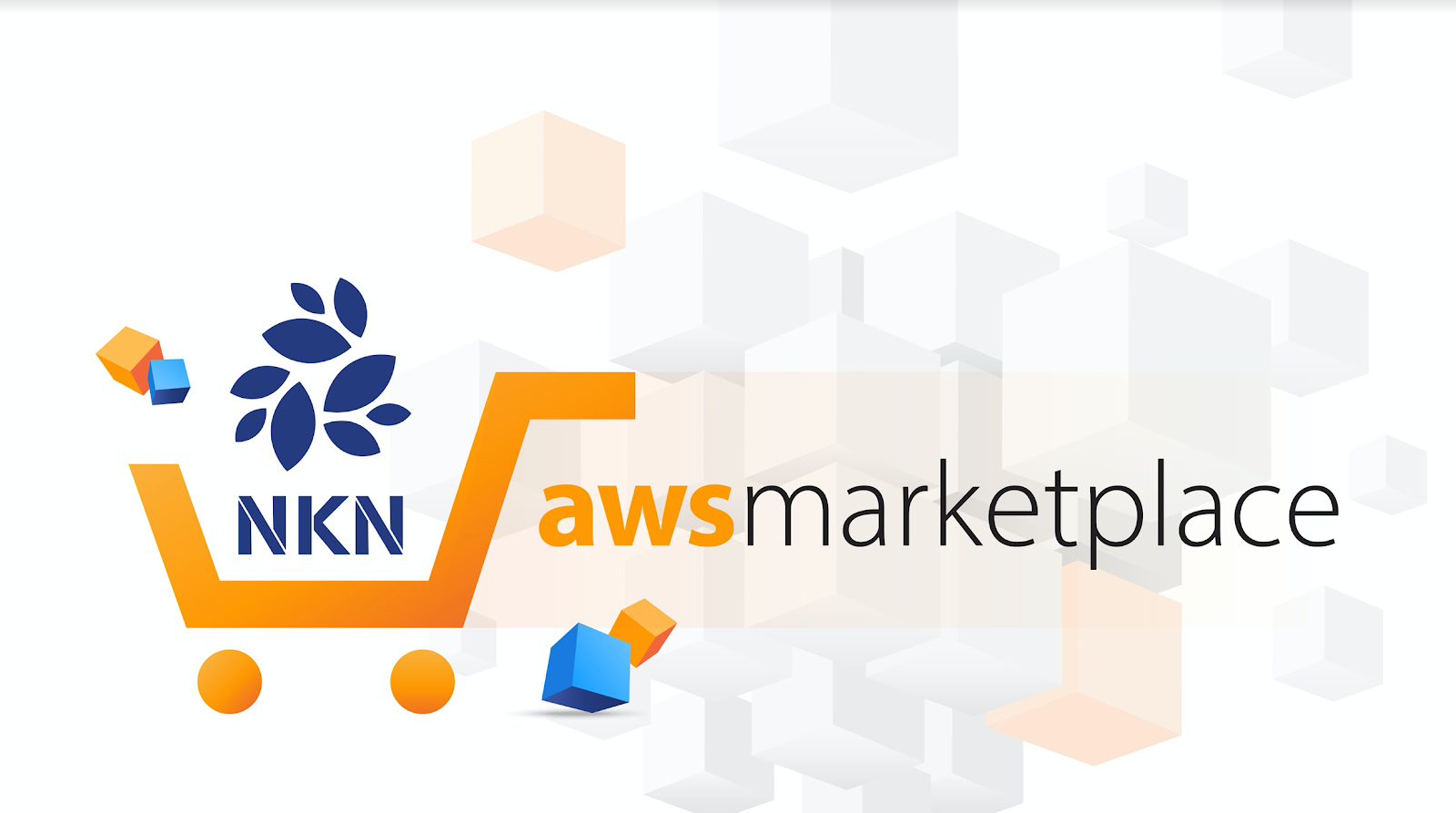 NKN Monthly Report November 2020. Highlights | by NKN | #NKN | Medium