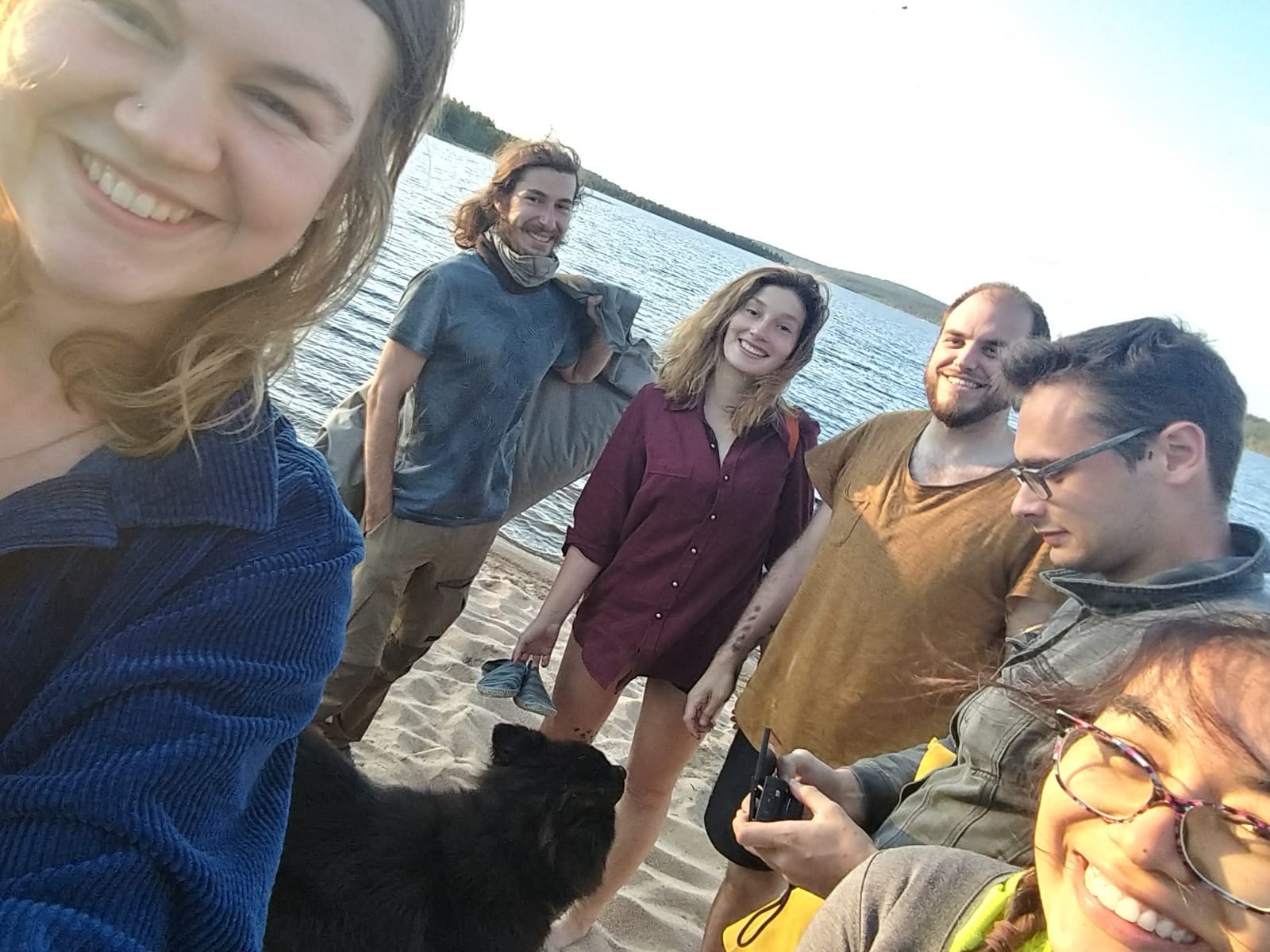 A summer of new dogs and obligations | by Anna McCormack | Behind the ...