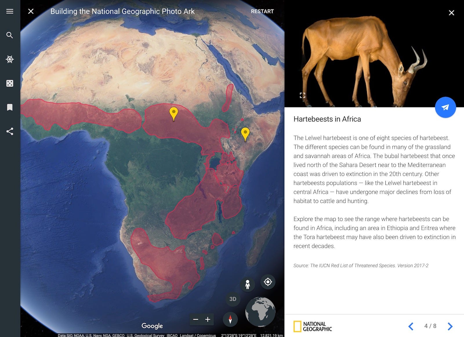 Owls and Tigers and Turtles, Oh My! Celebrating World Wildlife Day in ...