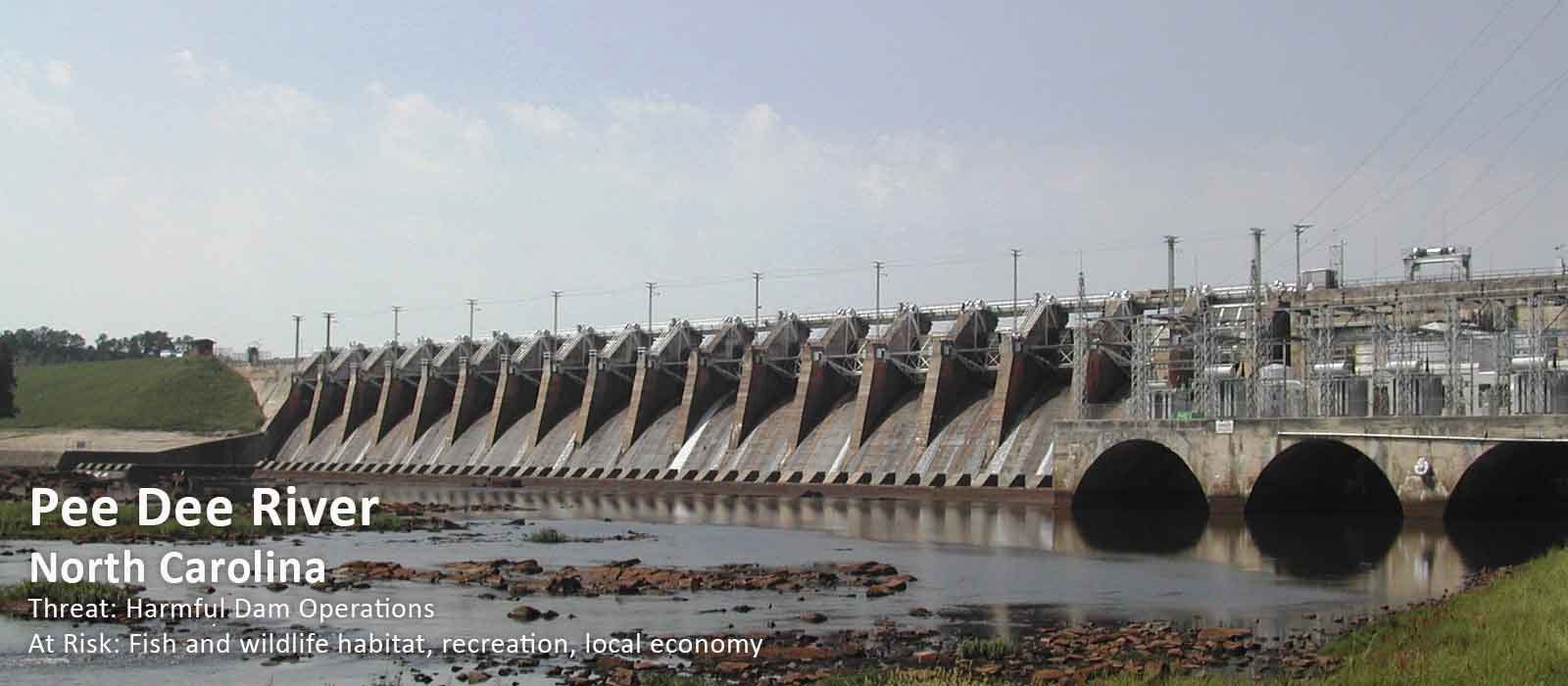 Pee Dee River. FERC relicensing of this dam fails to… | by American ...