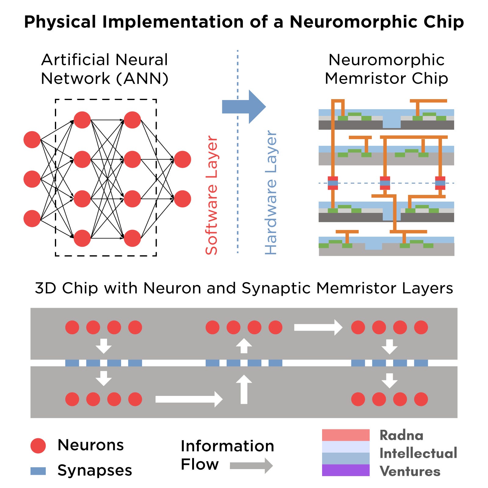 Why Neuromorphic Matters: Deep Learning Applications | by Radna ...