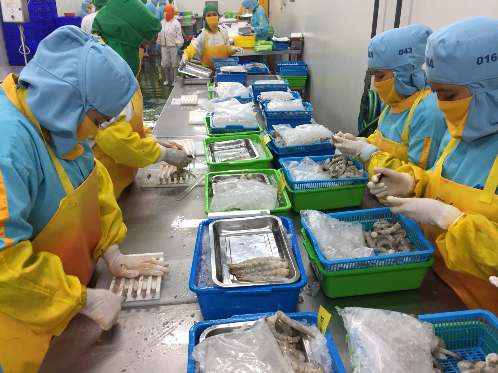 Women and the Seafood Industry — A Case for Fishcoin and a Personal ...