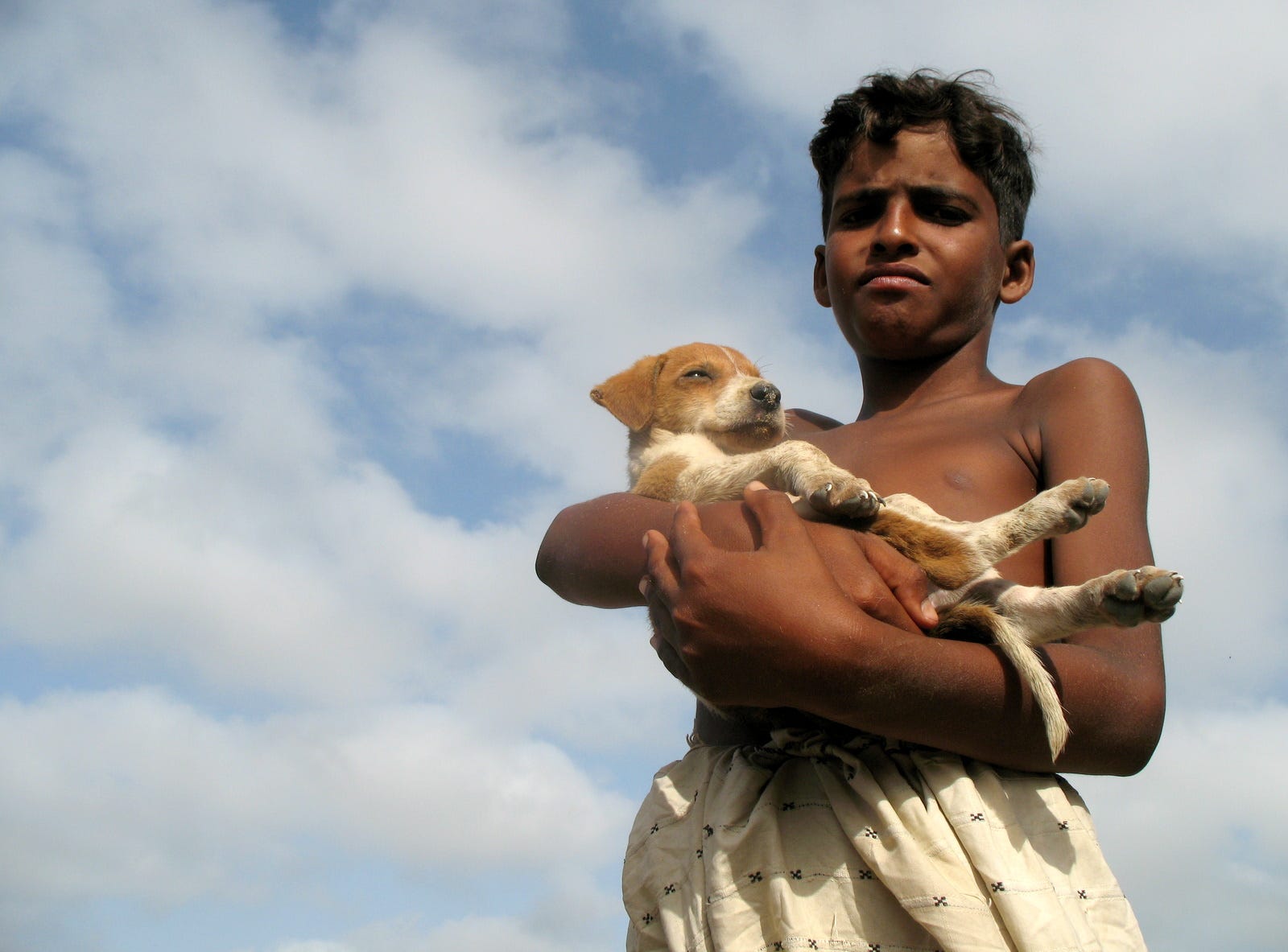 Sentient Beings. All creatures on earth are sentient… | by Mahera Omar ...