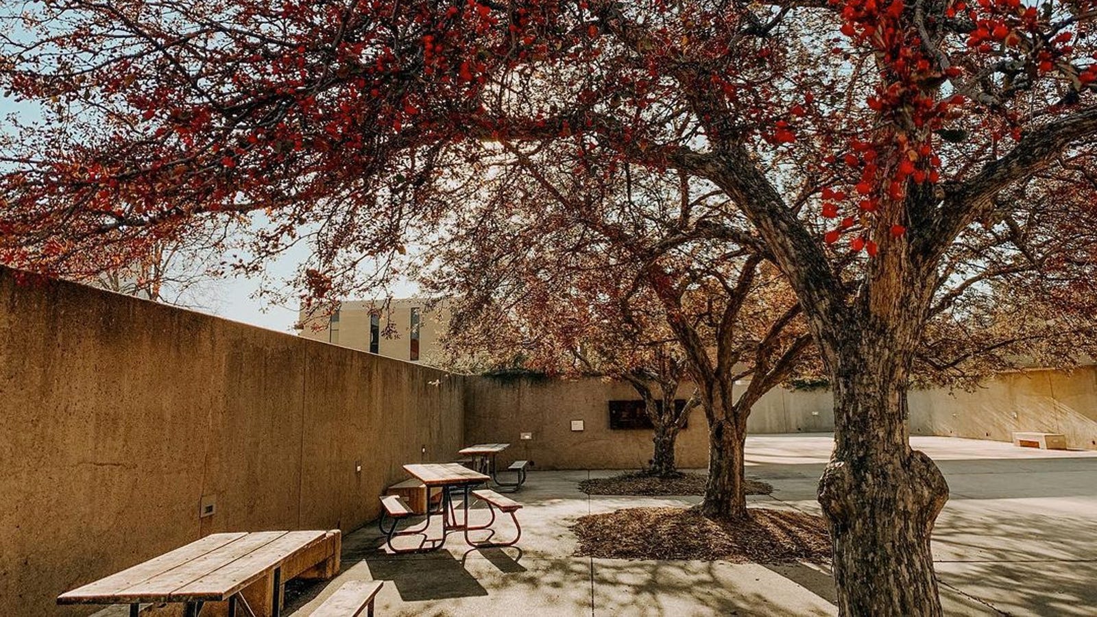 Lincoln’s Top Five Spring Spots. Check out the perfect places to unwind ...