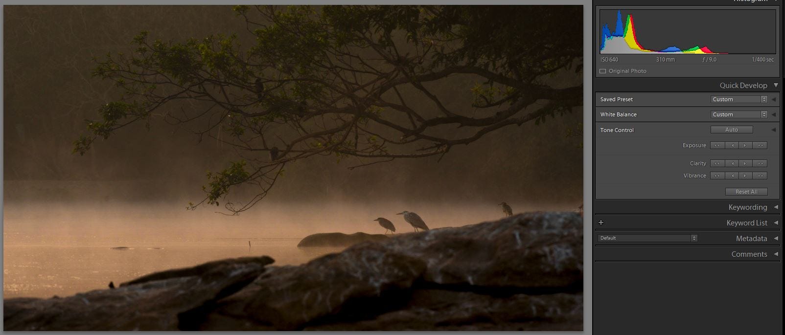 Understanding Histogram in Photography- How to shoot better | by ...