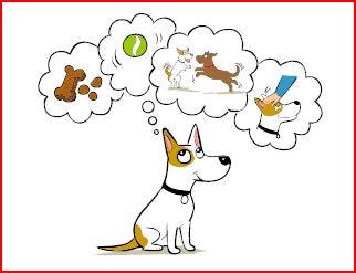 The Learn to Earn Program: How to reset your relationship with your dog ...