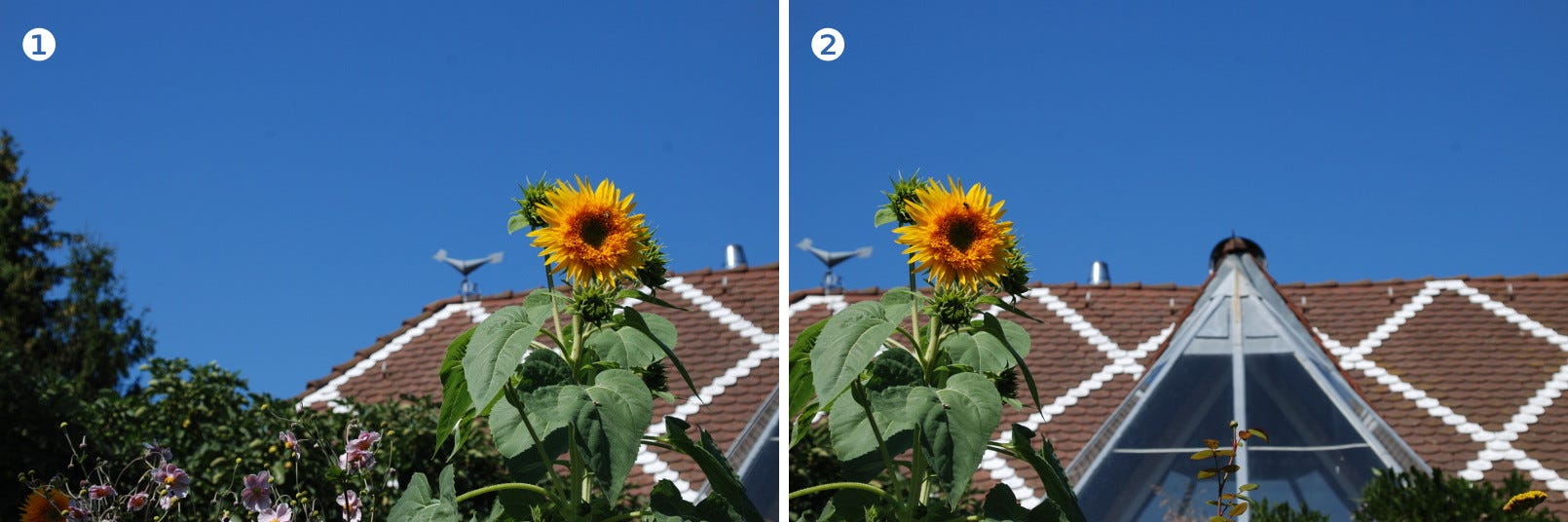 360° Video Stitching With Raspberry Pi Camera and OpenCV | by Vincent ...