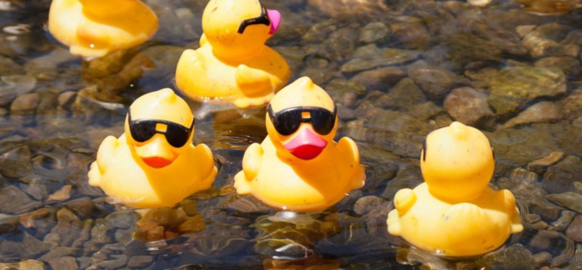 Luis Felipe Zaguini – Medium