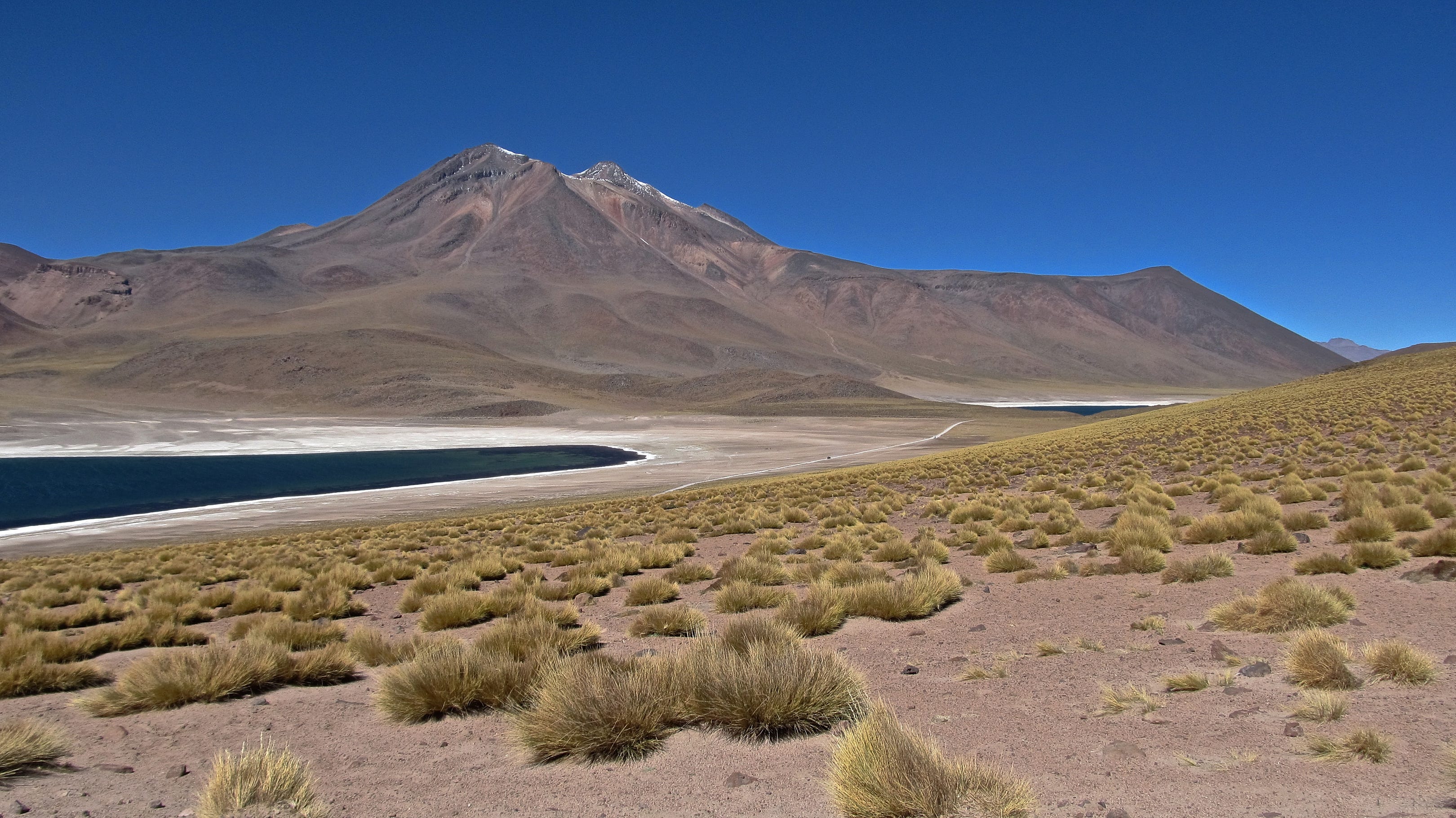 3 days exploring the Chilean Atacama Desert | by Leo Zagotta | Roaming ...