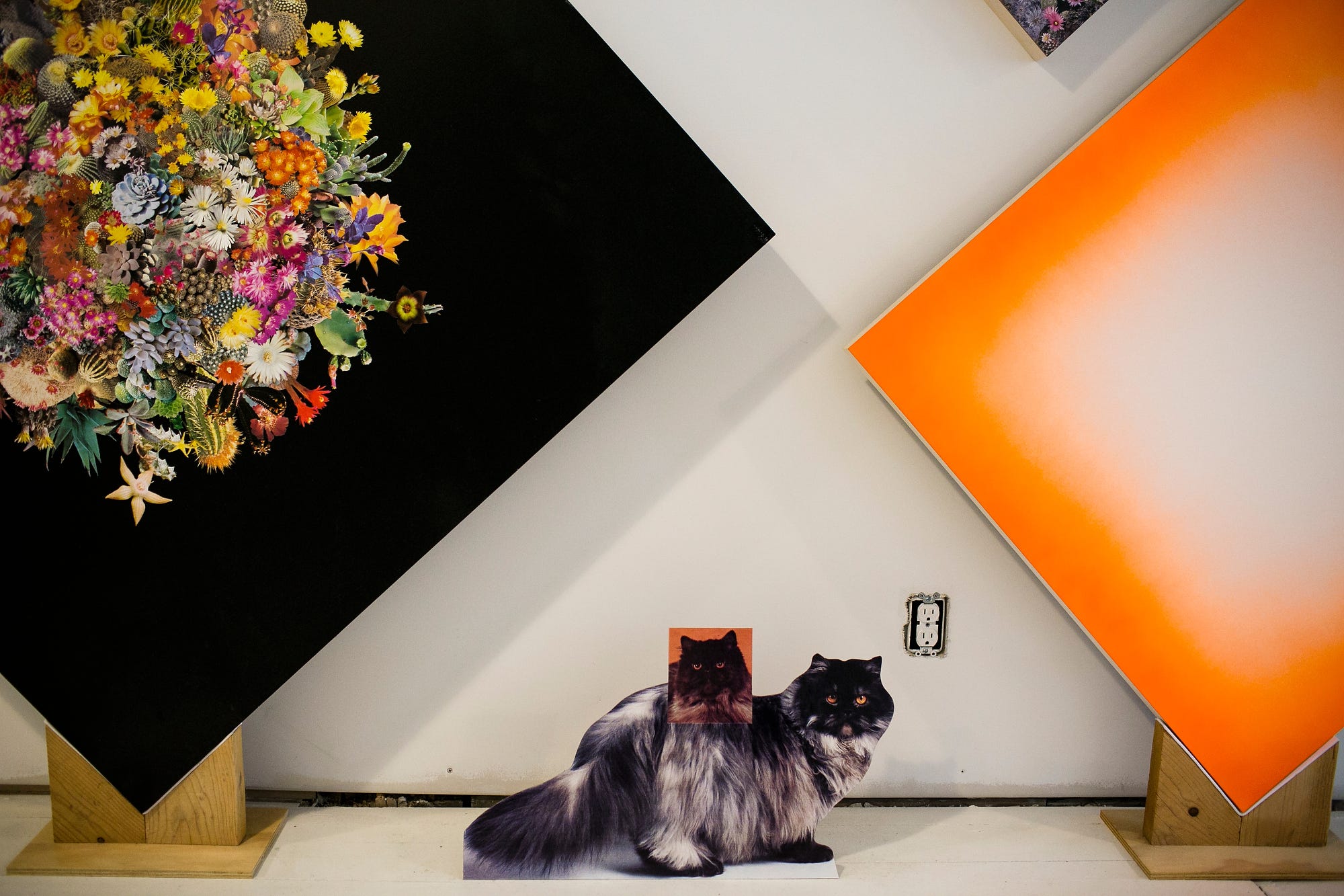Cats, Cacti and Cornucopias Collide in Crazy-Detailed Collage | by ...