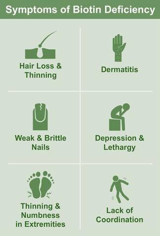 Boitinpedia What, Why and How | elephant journal