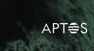 Aptos Network Portugues – Medium