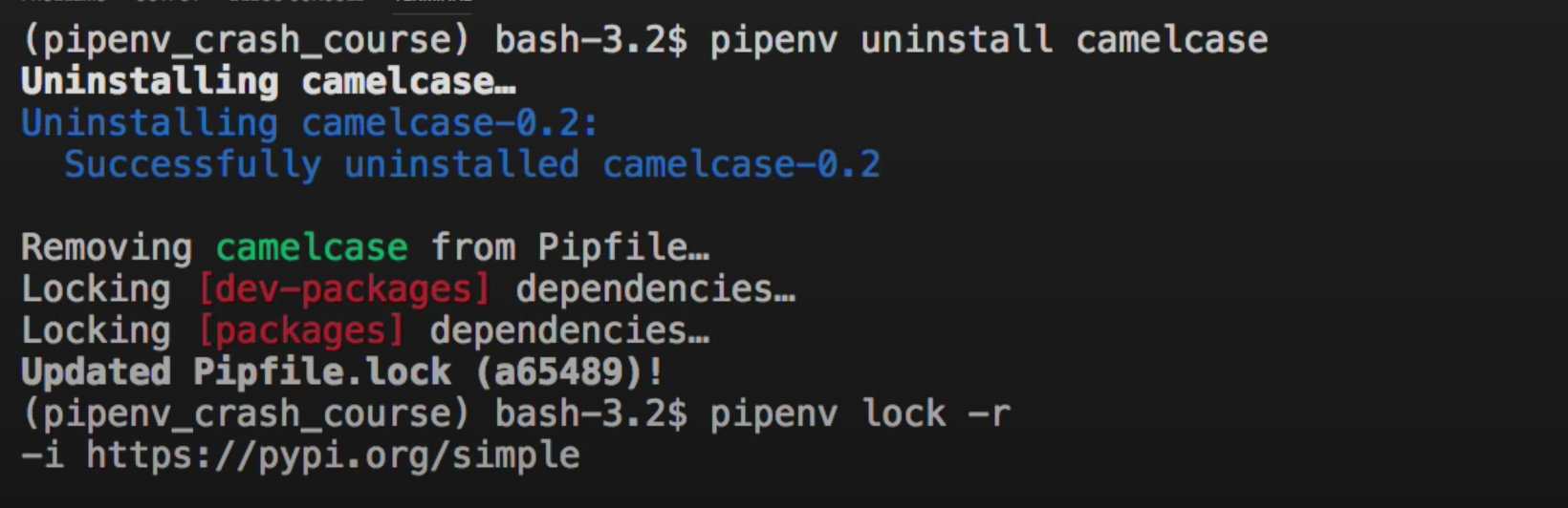 Pipenv: A powerful blend of “pip” and “venv” | by Vishal Sharma | The ...