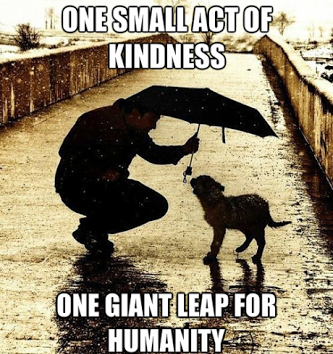 KINDNESS IS MAGIC. Kindness is fundamental to human… | by Zaeem Ali ...