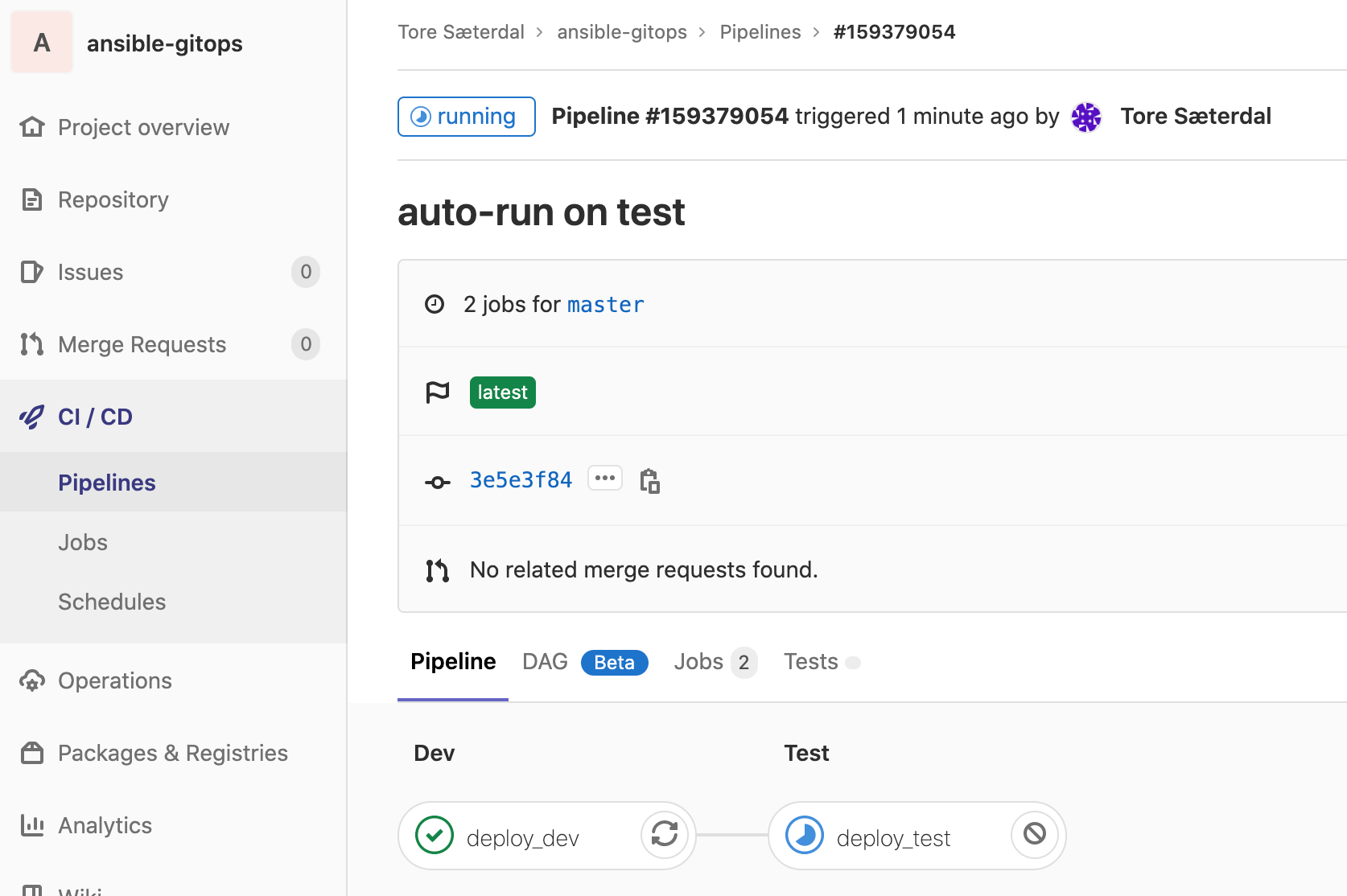 Managing your infrastructure with Ansible and GitLab CI/CD | by Tore ...