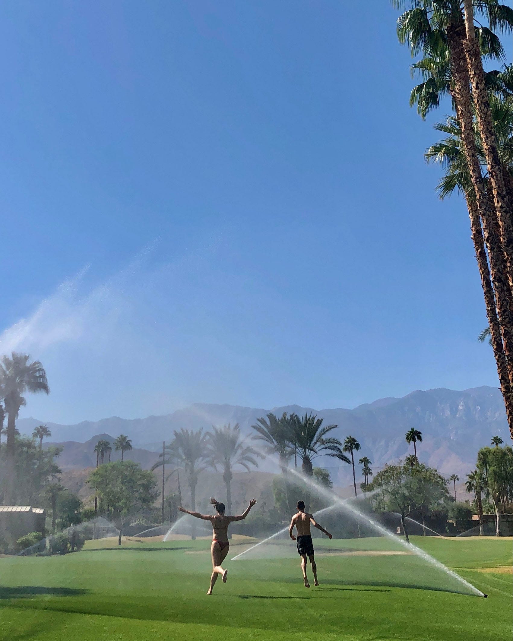 2020 — Not so Bad, but Not so Good. | by Alex Walling | Alex Walling ...