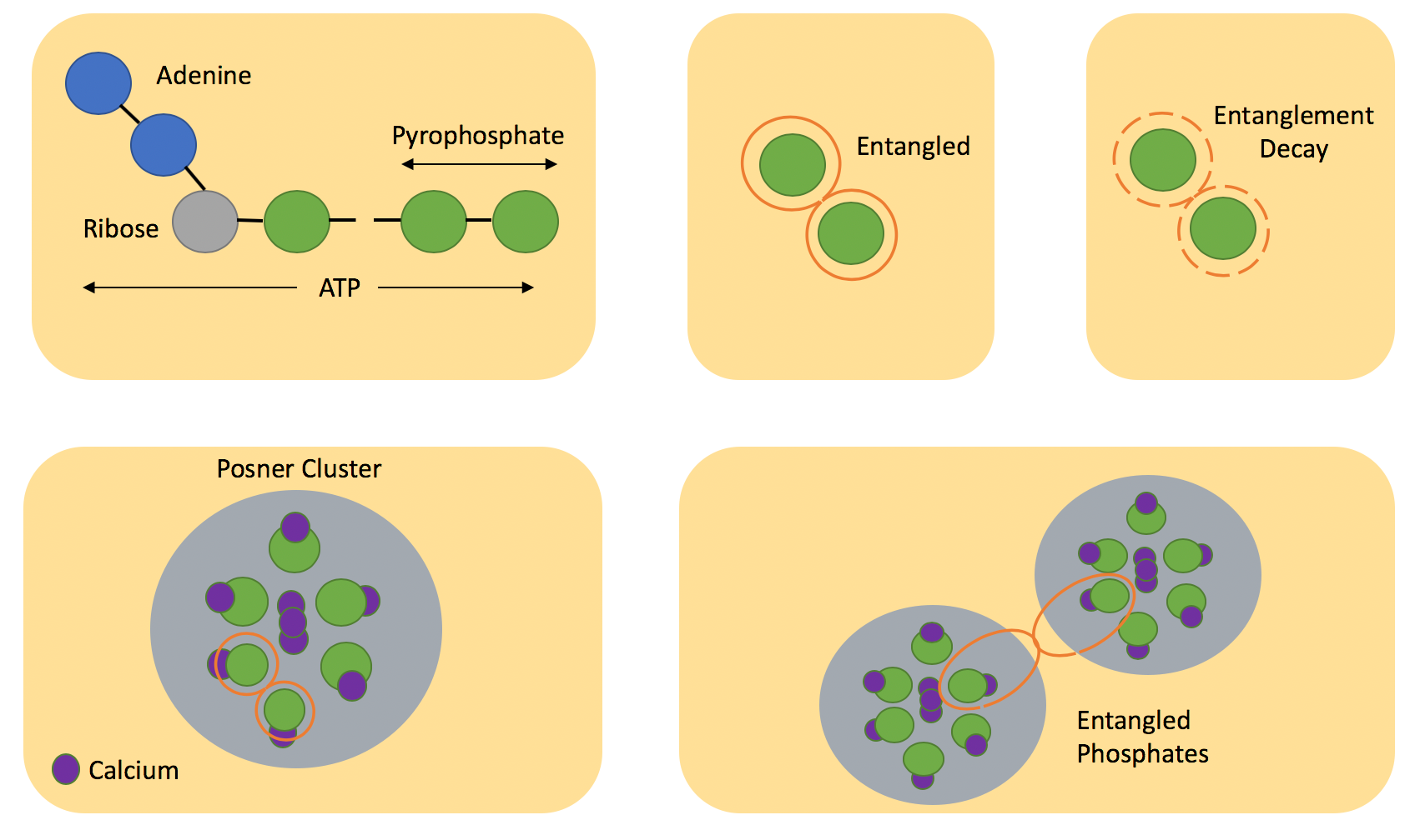Quantum Consciousness — The Emperor’s new Mind and the Implications of ...
