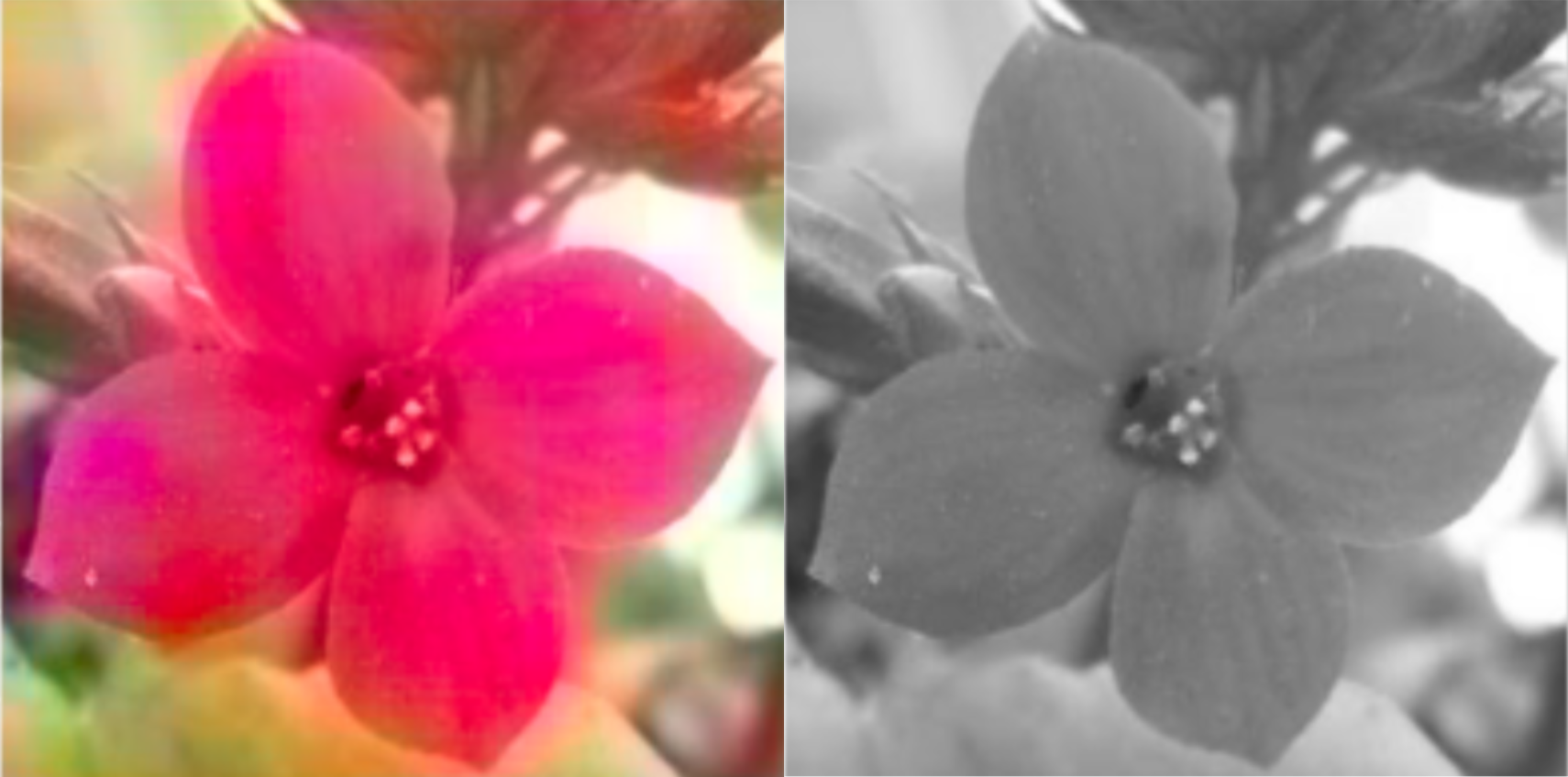 Colourizing the World with AI. I believe there is no deep difference ...