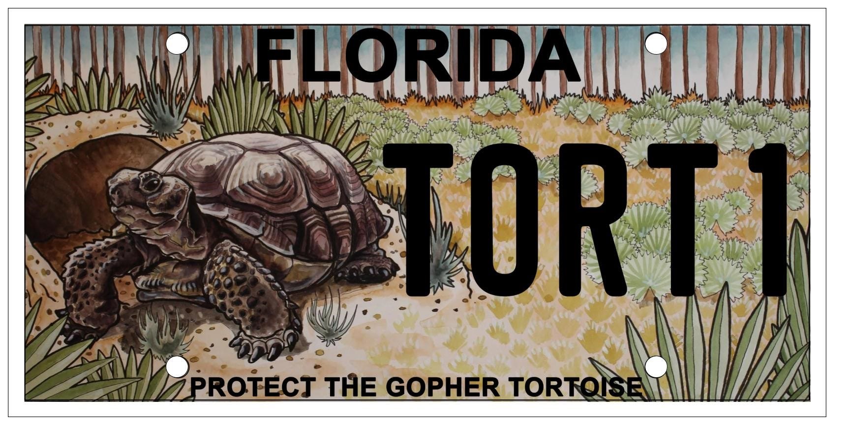 Happy Gopher Tortoise Day. Today, April 10th, is Gopher Tortoise… | by ...