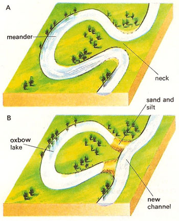 Oxbow lakes and change. I woke up this Saturday morning at 6am… | by ...