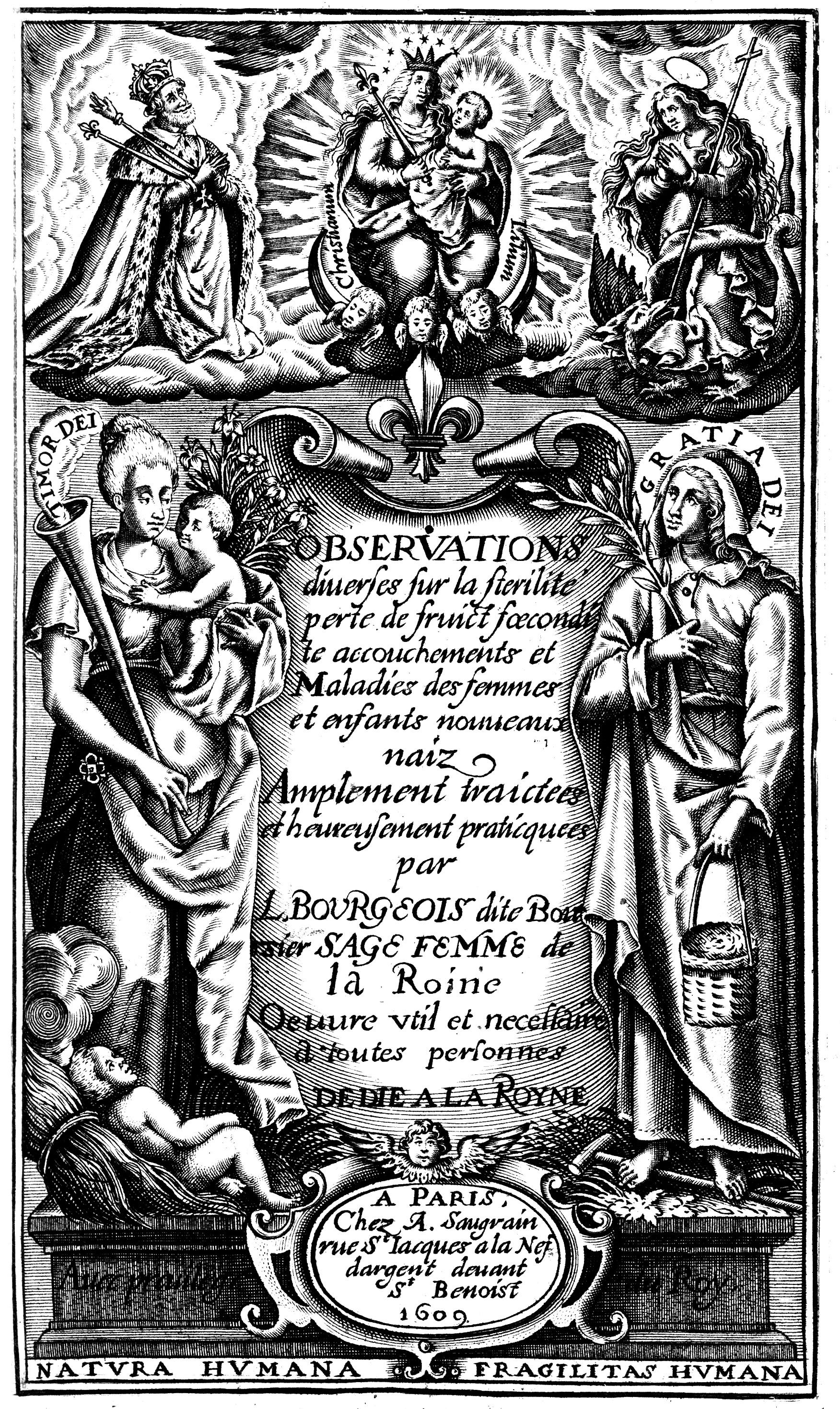 The Standardization Of Female Anatomical Terms By Alexandra Trunnell Sex Gender And The