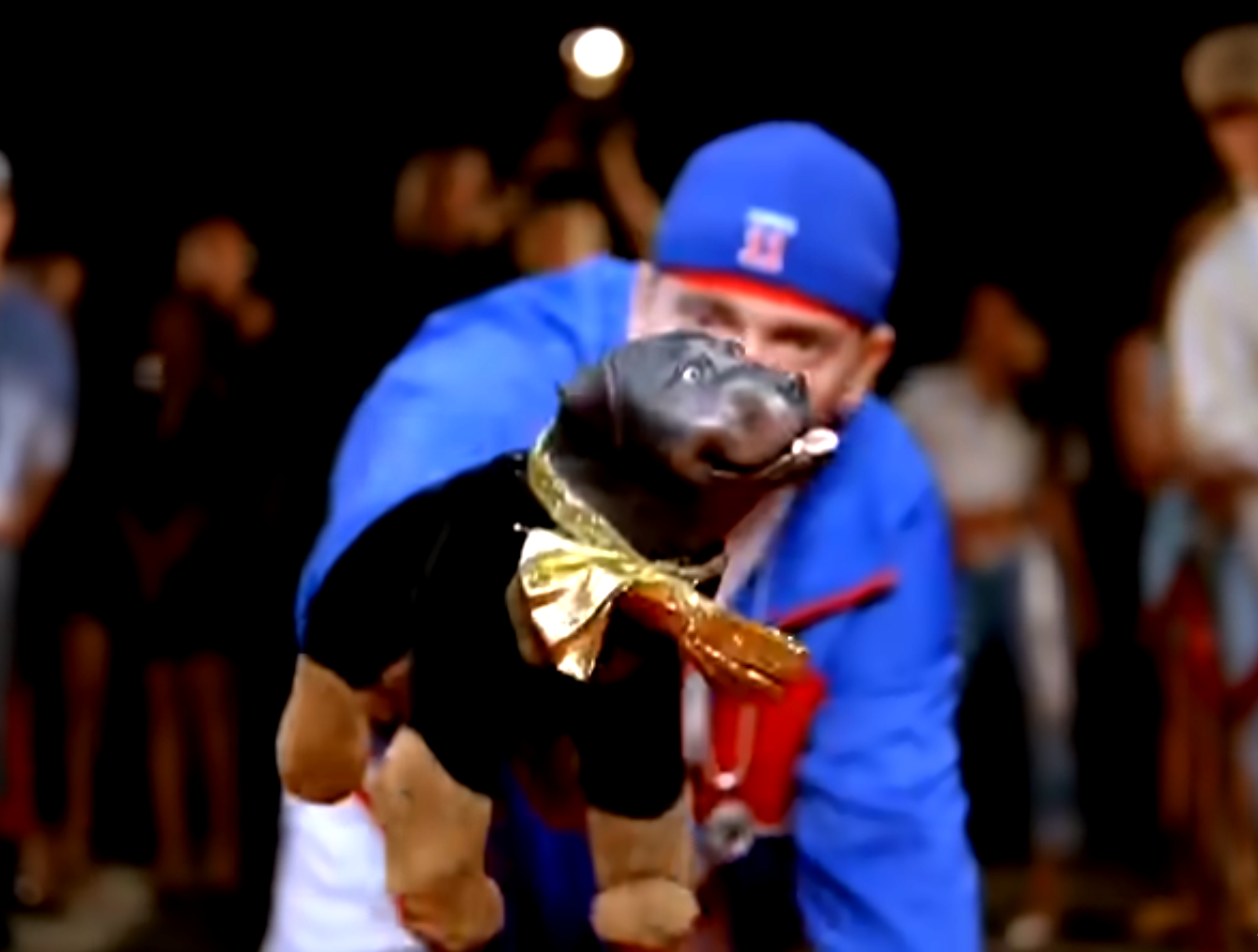 Pooping On Everything With Triumph The Insult Dog - Verboten Publishing ...
