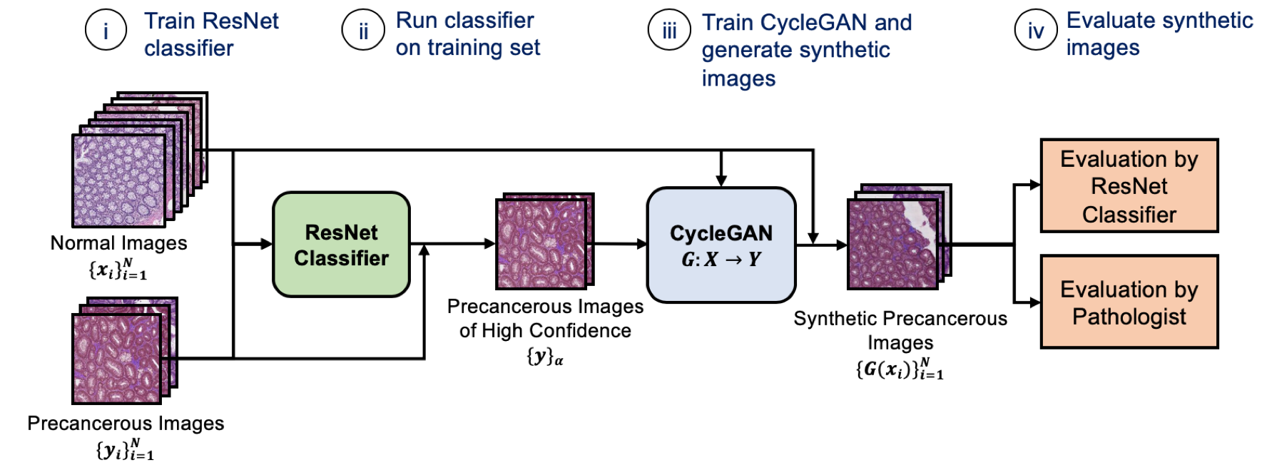 Using Generative Adversarial Networks Gans For Data Augmentation In Colorectal Images By
