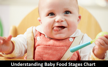 Understanding Baby Food Stages Chart | by kidzgro | Medium
