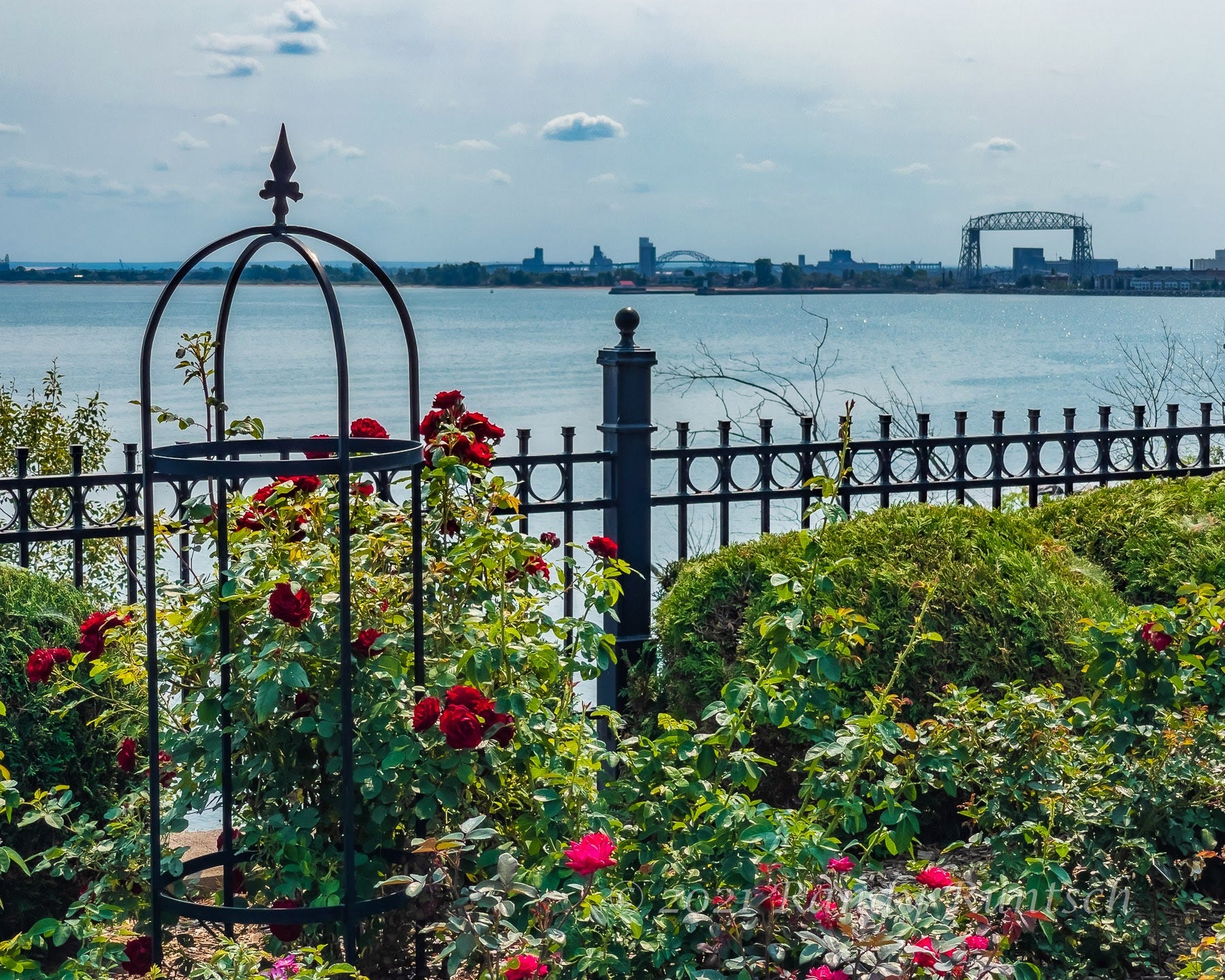 The Tranquil Beauty of the Duluth Rose Garden | by Randy Runtsch ...