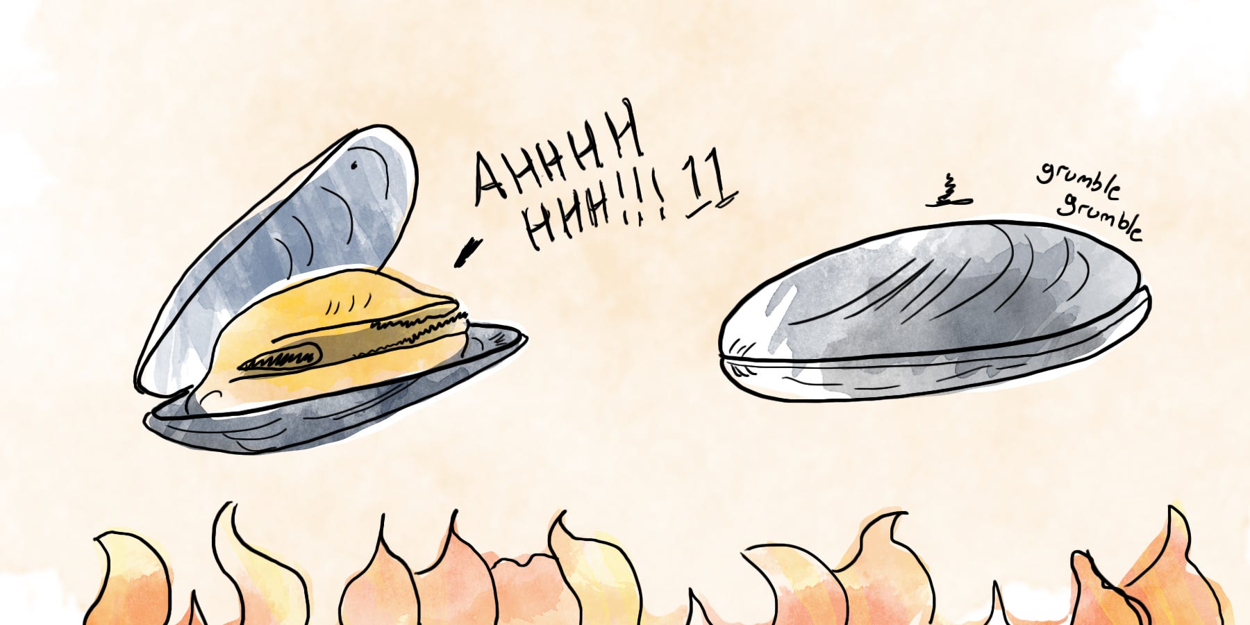 Don’t Move A Mussel. What happens when it takes 20 years to… | by ...