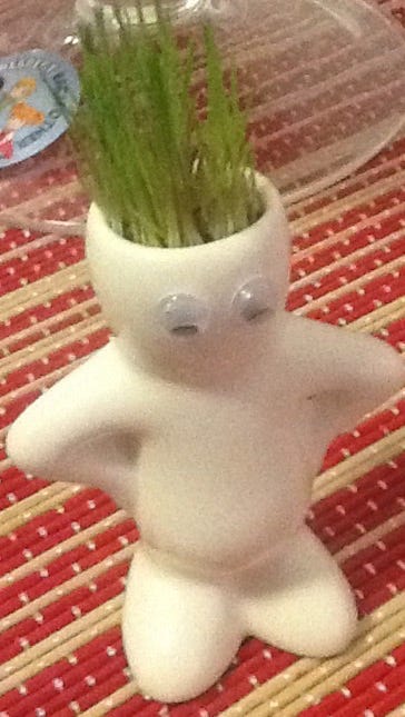How to make your very own grassman | by Maria | Medium