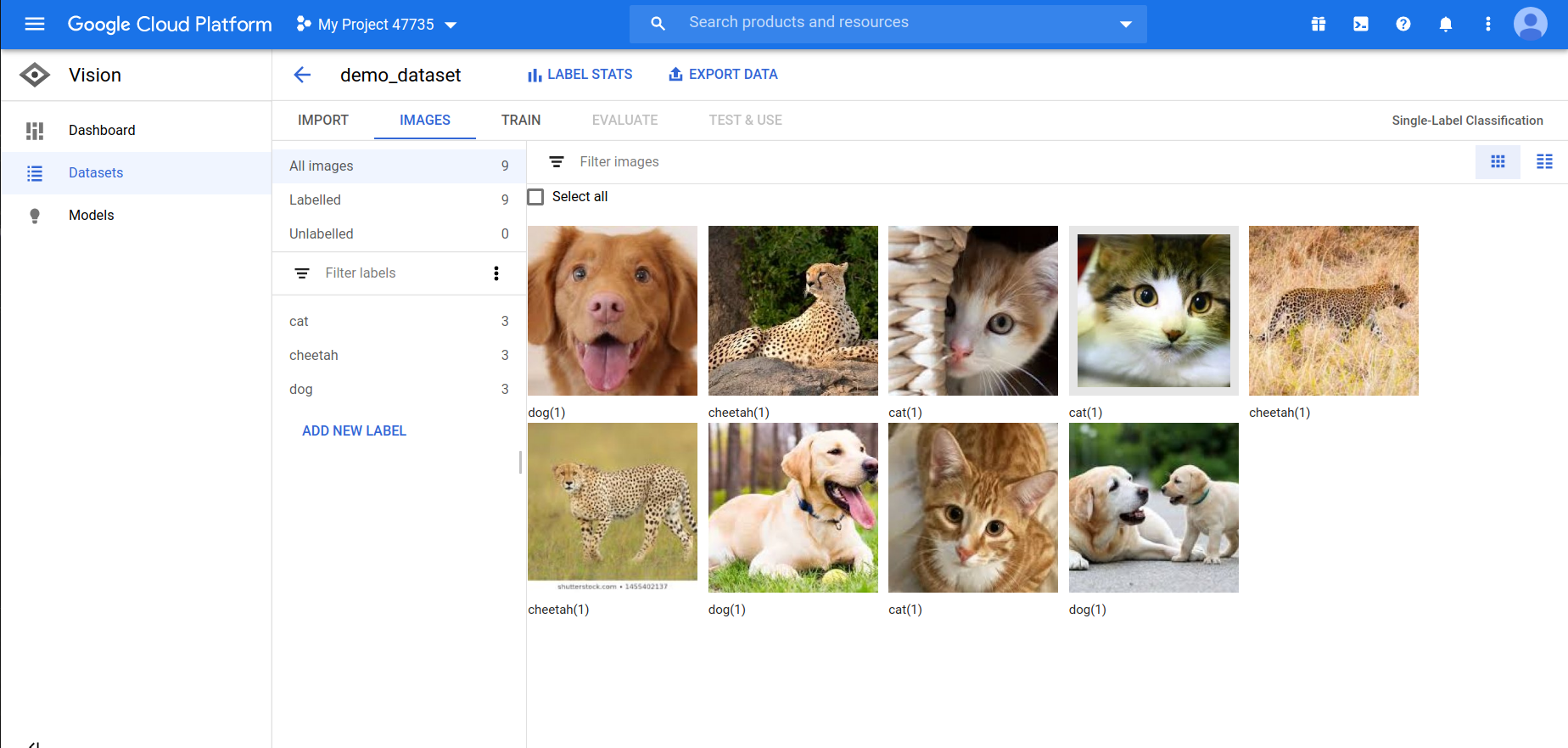 Build a Custom Image Classification Model Using Google AutoML | by ...