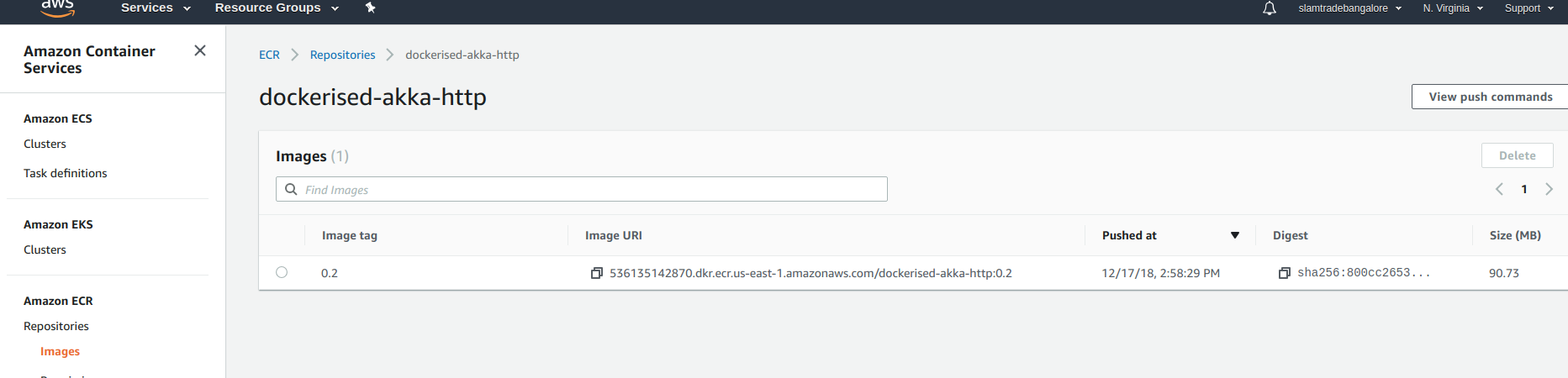How To Publish A Docker Image From A Local Machine To Aws