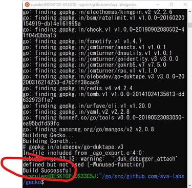 How to setup an AVA validator node on Windows 10 using the Windows ...