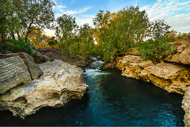 Explore the Tropical Paradise of Darwin by Visiting These Mind-Blowing ...