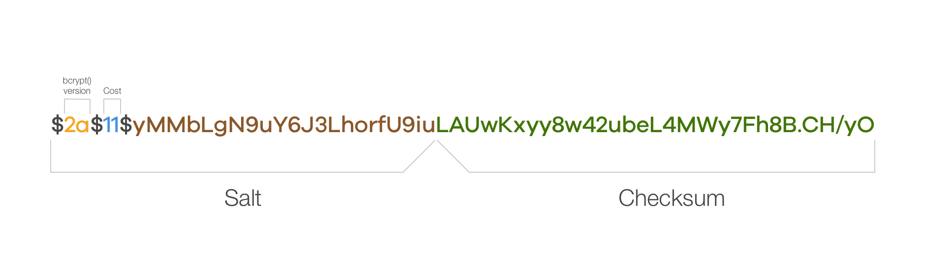 How Devise keeps your Rails app passwords safe | by Tiago Alves | freeCodeCamp.org | Medium