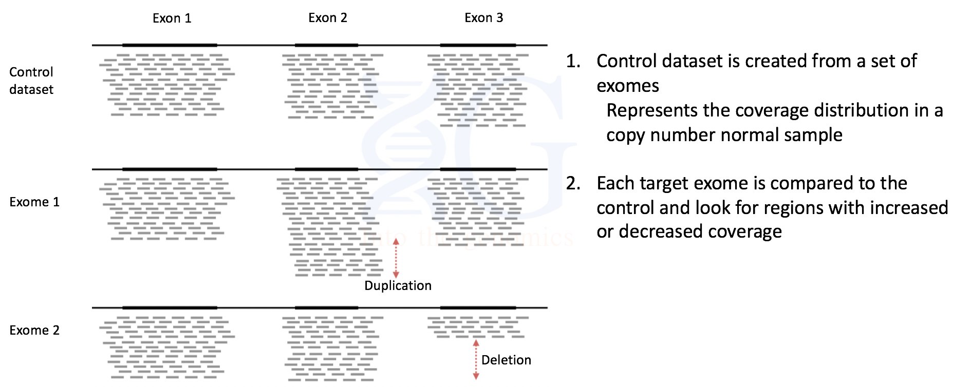 Cnvs Copy Number Variants— Context Detection Methods And Exploratory Data Analysis With