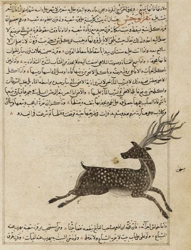 Islamic Fiction: The Strange Case of Zakariya al-Qazwini | by Abu-Isa ...