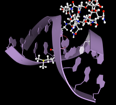 Bleomycin_Okeke. Bleomycin is a cytotoxic antibiotic… | by Sarah Okeke ...