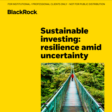 SEC stands athwart history, yelling stop, but stakeholder capitalism is ...