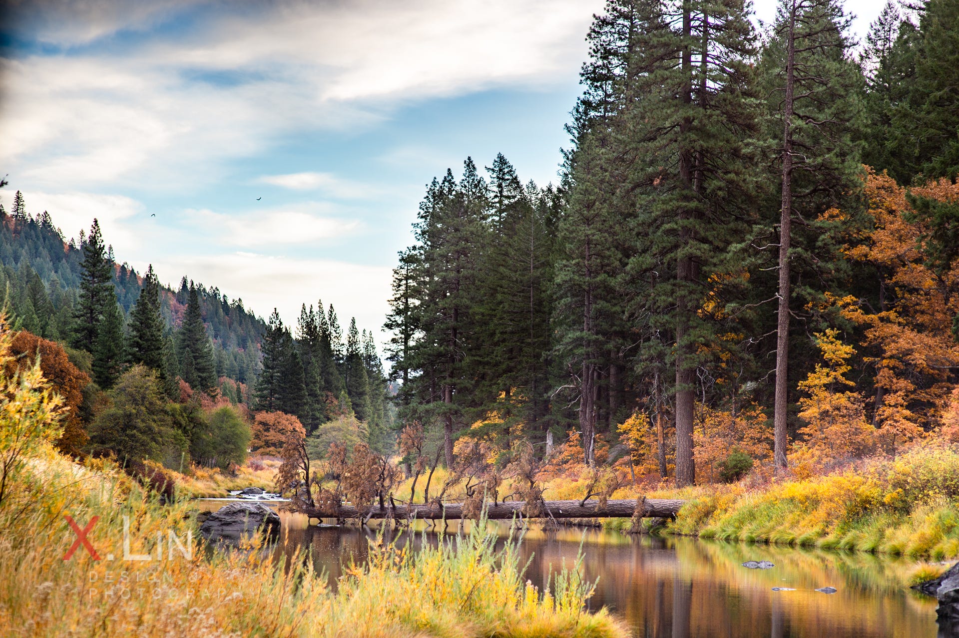 It‘s Possible to Experience Fall in California!!! - georgexlin - Medium
