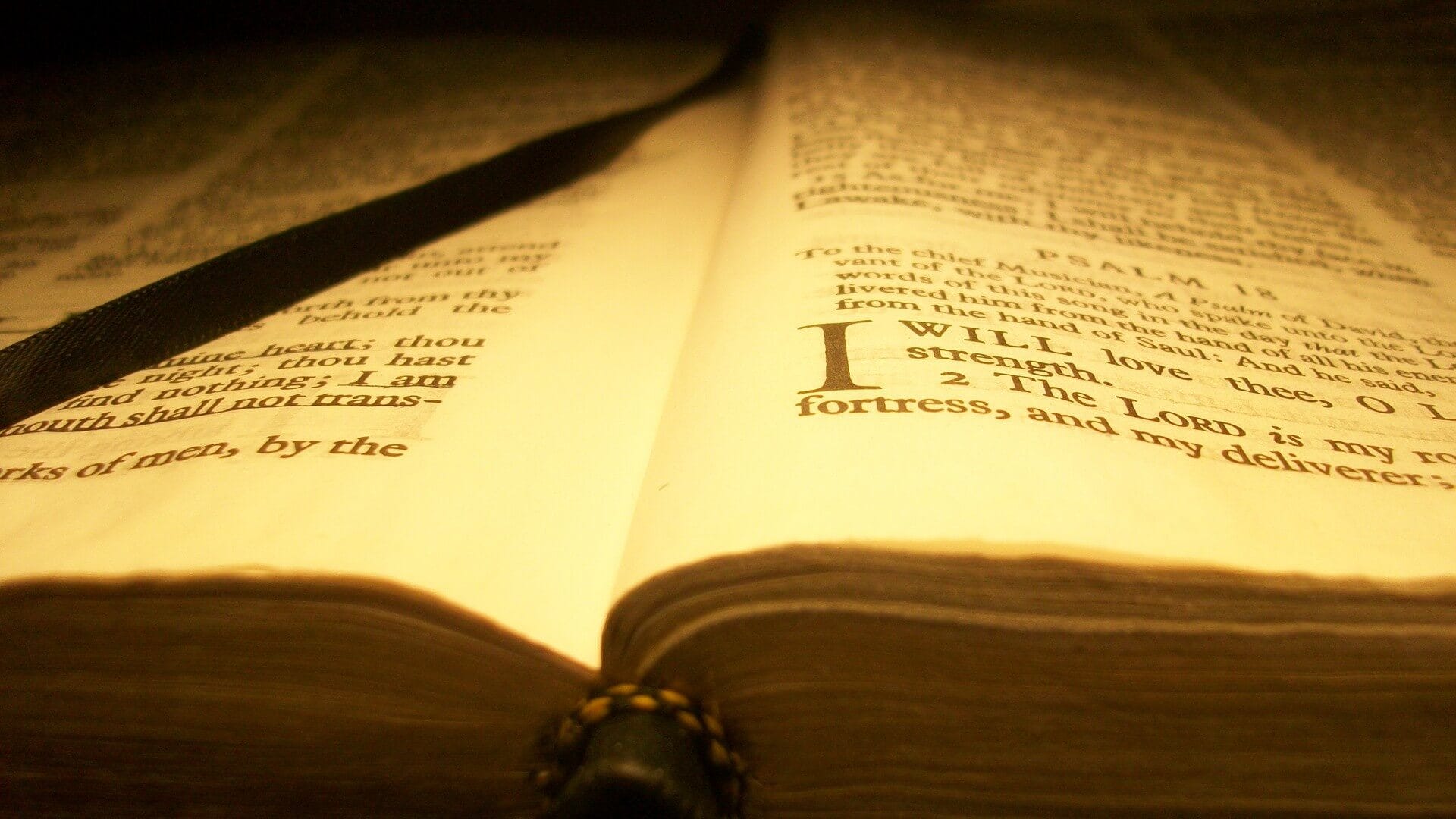 A Word About The Word In Today s World Everyone Looks For By A Word About The Word In Today s World Everyone Looks For By