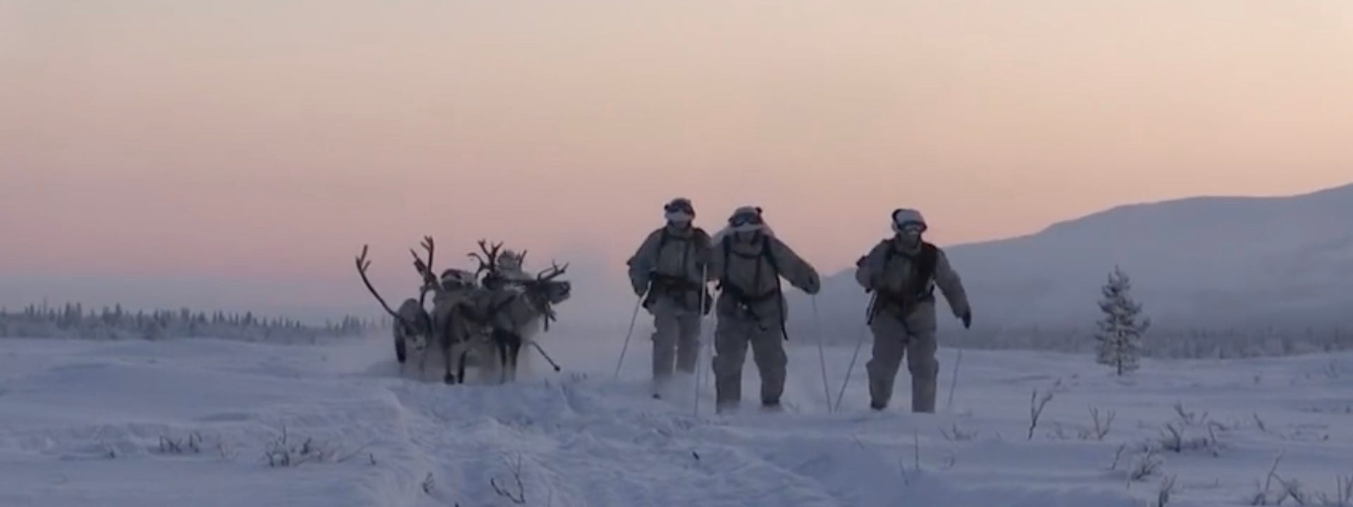 #MeanwhileInTheArctic: Russian Battle Reindeer | by @DFRLab | DFRLab ...